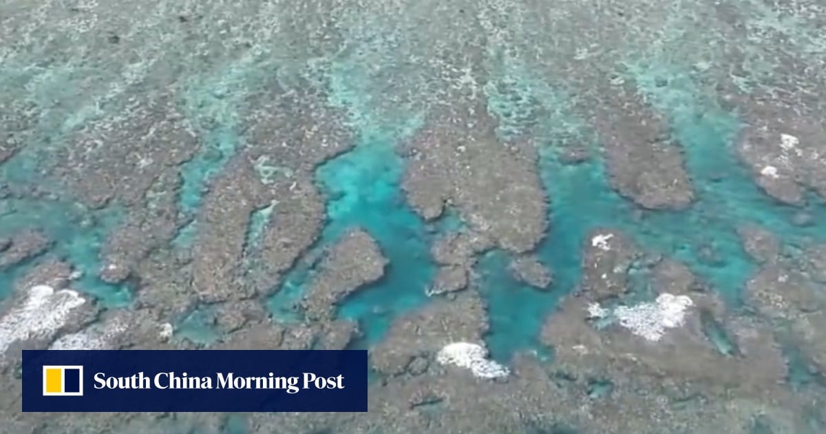 China suggests ‘illegal’ Philippine fishing is damaging disputed ...