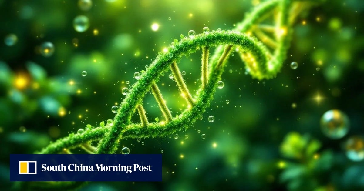 China’s 7,000-year-old sunmao woodwork leads to world’s most efficient ...