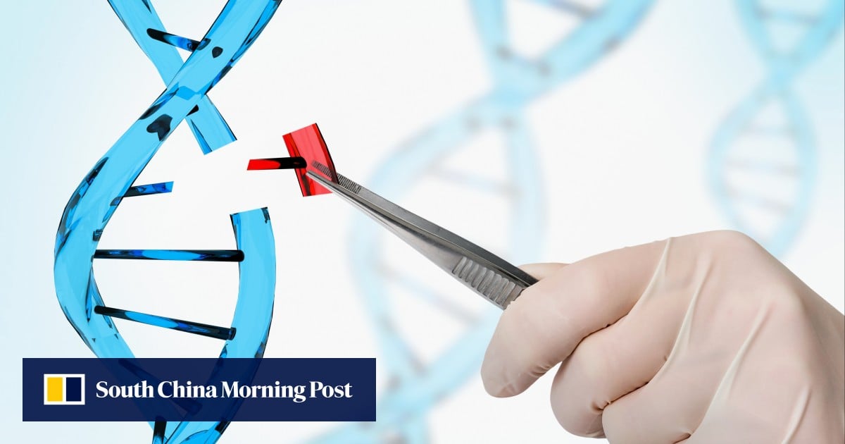Cutting-edge Chinese gene-editing technique raises prospect of new ...